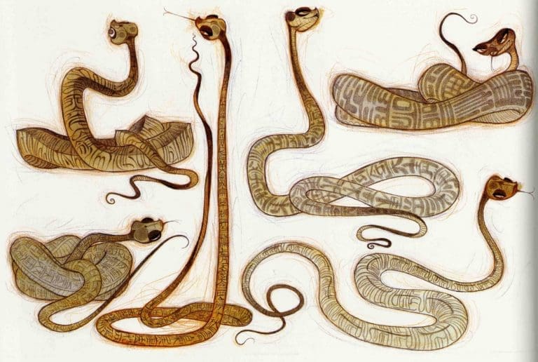 Diseño de Personajes de Nicolas Marlet - Notodoanimacion.es